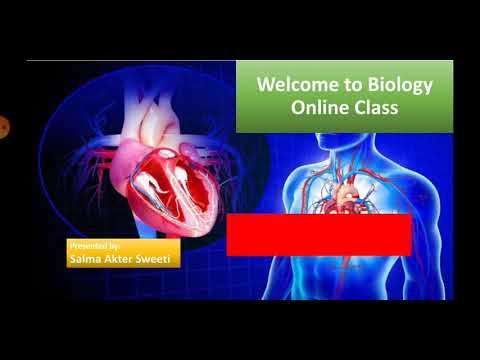 Human Heart Anatomy ; Class-(9-10);Biology, Chapter-6;English Version ...