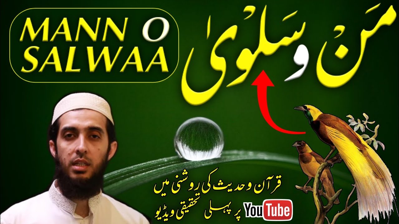 MAN O SALWA Kya Hai || Rasool Allah ﷺ ki Ummat Ka Mann o Salwa? || کیا ...