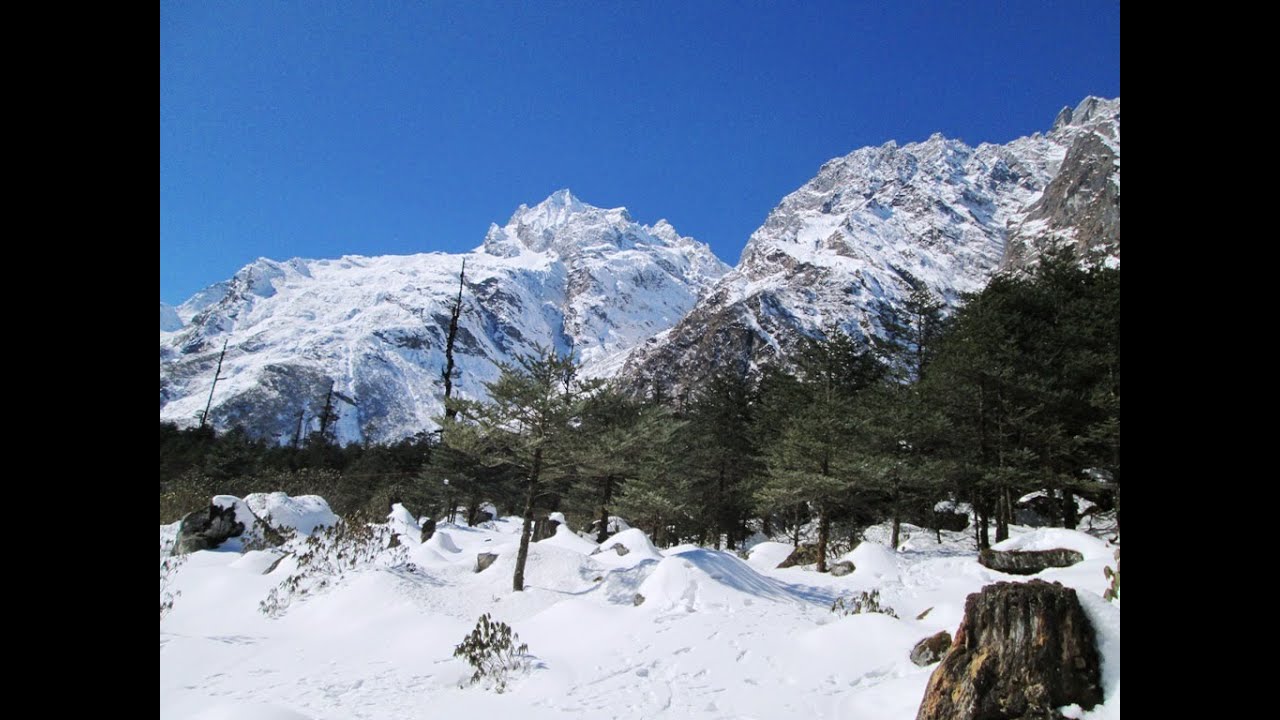 MIND BLOWING BEAUTY OF YUMTHANG VALLEY, ZERO POINT- SIKKIM,GANGTOK ...