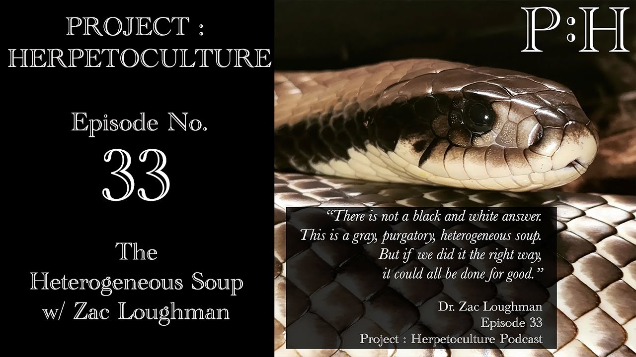 Project: Herpetoculture Episode No. 33: The Heterogeneous Soup w/ Dr ...