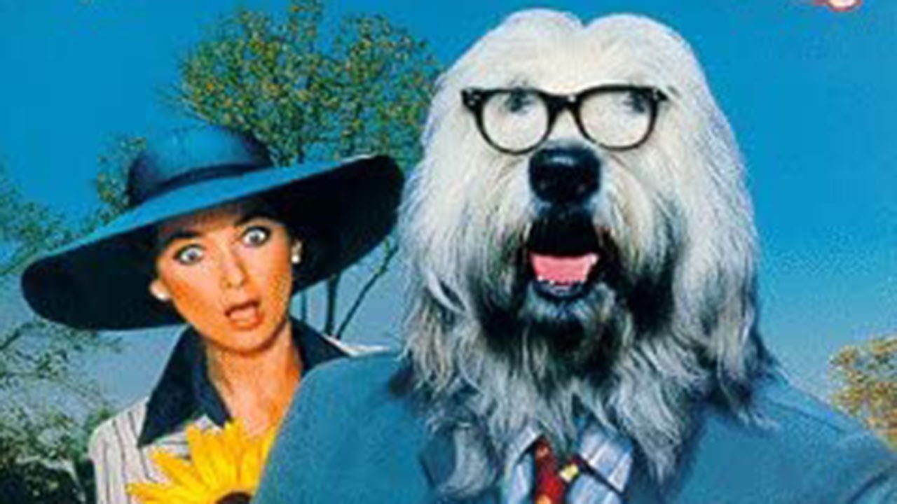 The Shaggy D.A. Commentary - YouTube