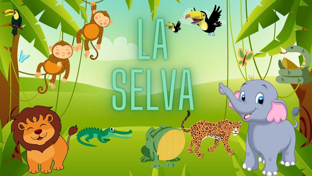La SELVA para NIÑOS!🦁 - YouTube