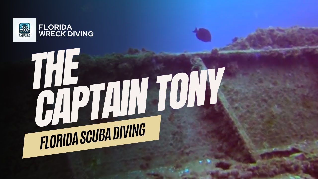 Diving the Captain Tony Wreck: Pompano Beach’s Underwater Gem! - YouTube