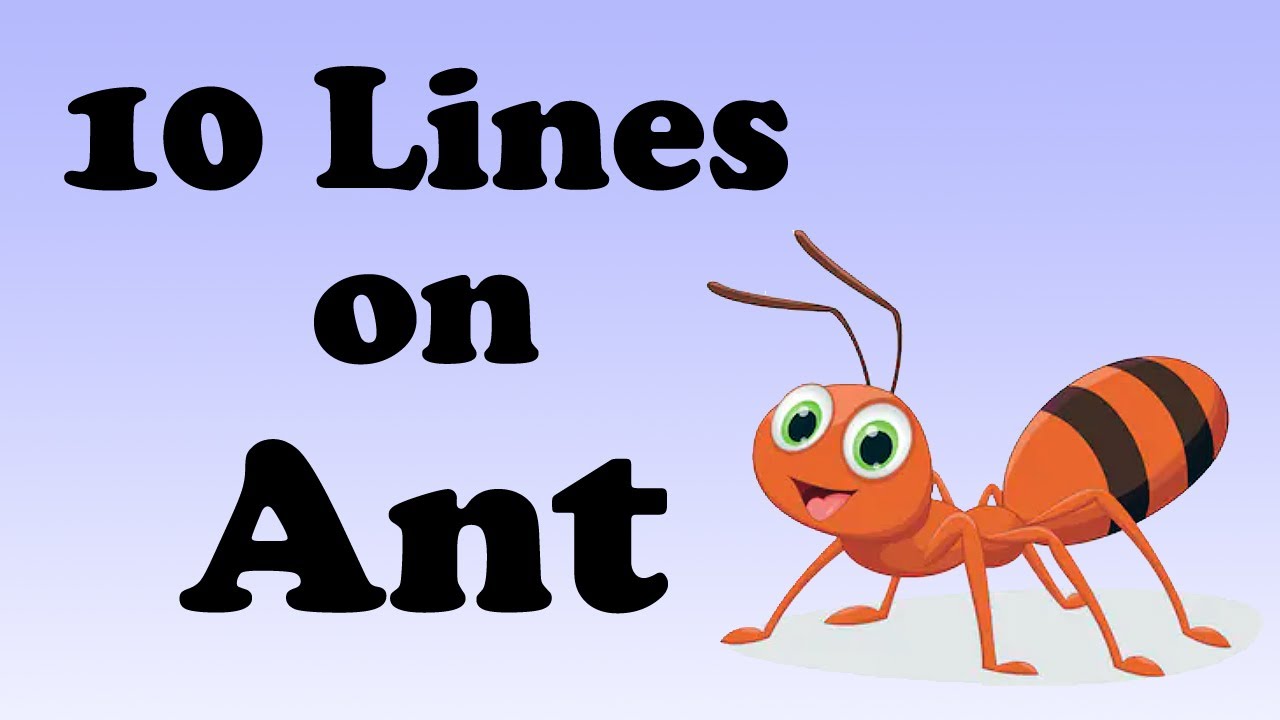 10 Lines on Ant in English - YouTube