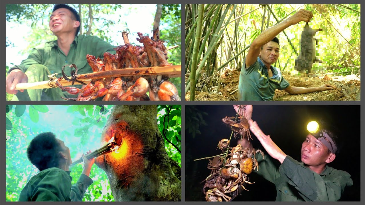 FULL VIDEO _ FORAGING IN THE FOREST - YouTube