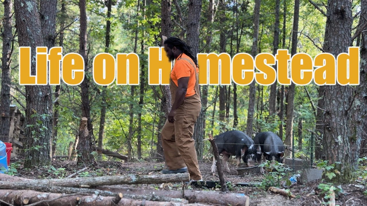 Homestead Life: The Good, The Hard & The Beautiful” - YouTube