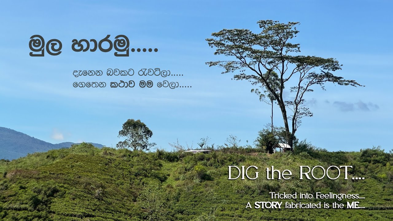 සුමිත් පෙරේරා - පරමත්ත දේශනා 185: Sumith Perera-Paramaththa Deshana 185 ...