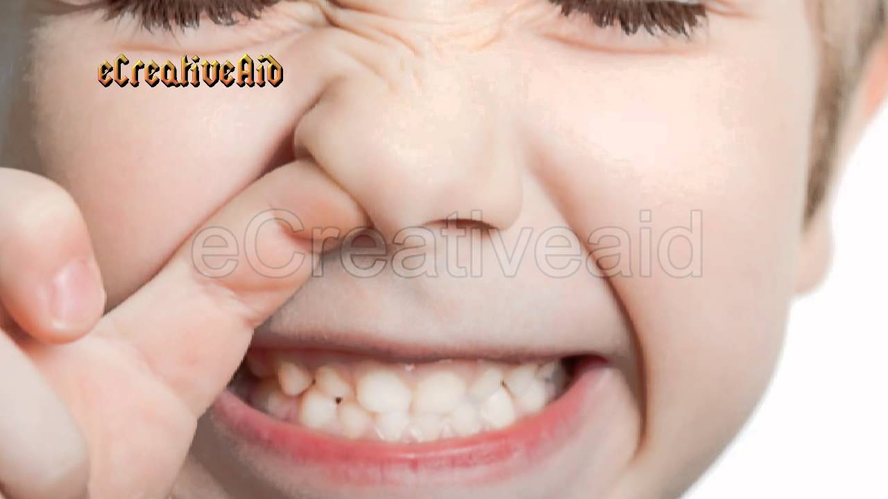 Is Picking Your Nose And Eating It Good For You YouTube is-picking-your-nose-and-eating-it-good-for-you-youtube