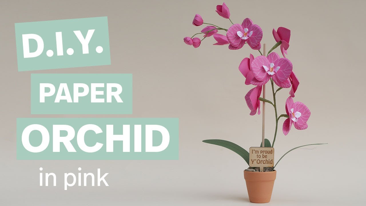 How to make a Pink Paper Orchid | Quick Craft Tutorial - YouTube