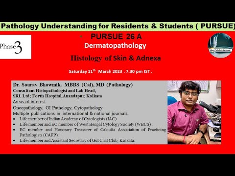 Pursue 26 A : Dermatopathology- Histology of Skin & Adnexa - YouTube