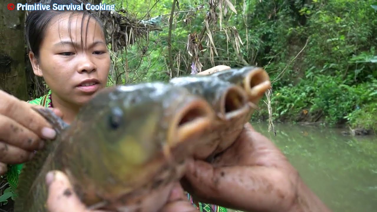 Find Fish in Mud Hole - Survival Skills Catch Unique Fish in Secret Mud ...