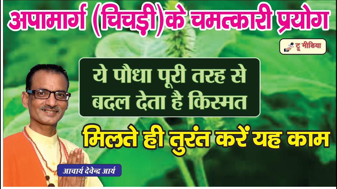 अपामार्ग जड़ के चमत्कारिक लाभ-ऐसे करें इसकी पहचान Devendra Arya | True Media - YouTube