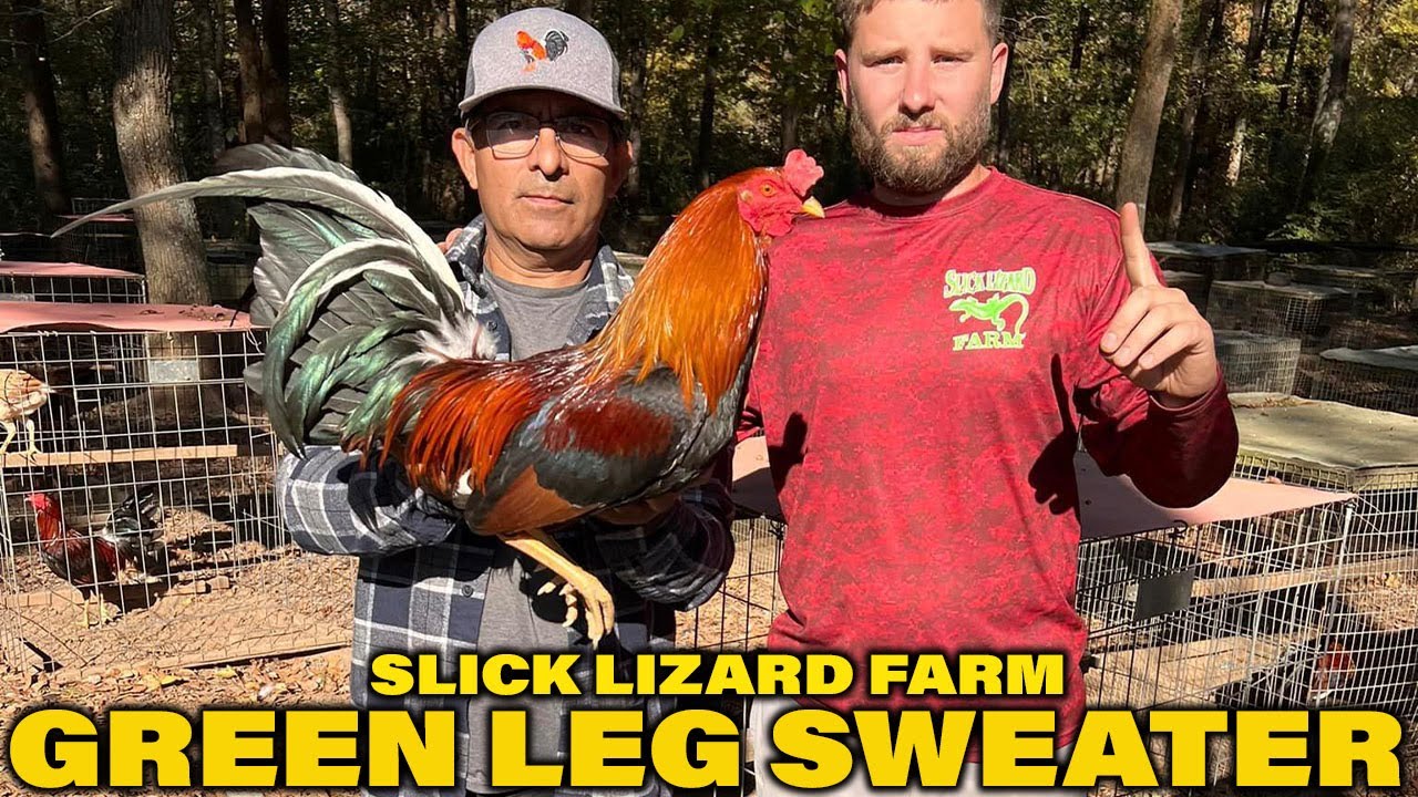 Jerry Adkins Yellow Leg Hatch Hoskins Green Leg Sweater - Slick Lizard ...