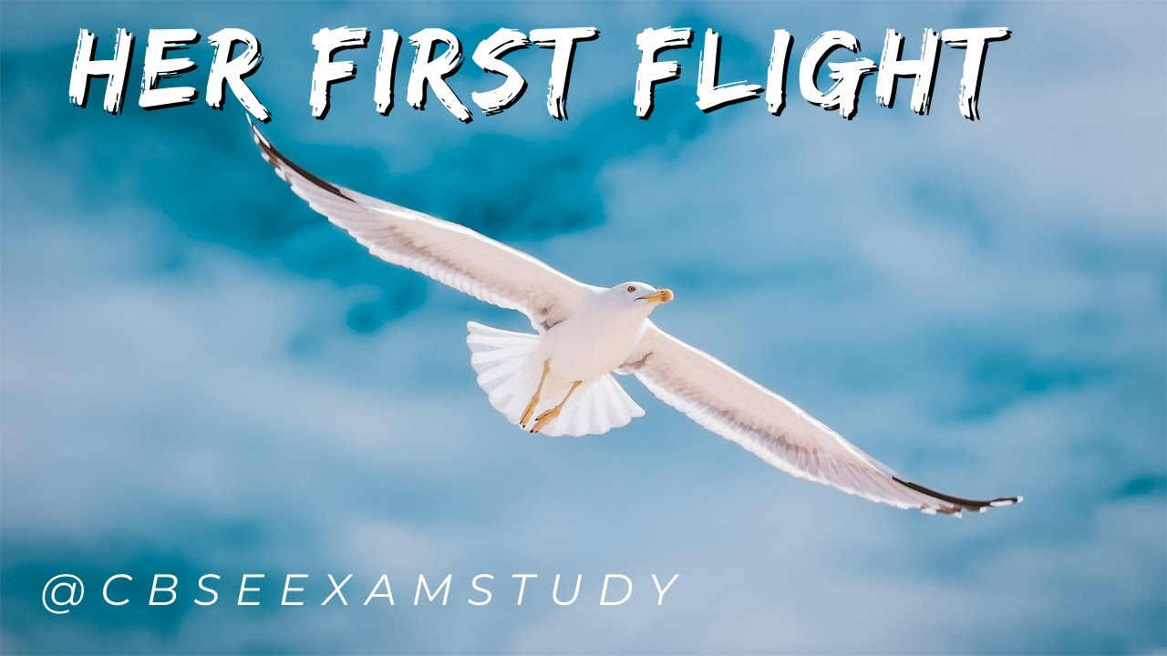 His First Flight | class 10 english chapter 3 | full grammar for class ...