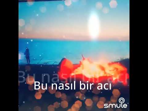 Yine harika bir şiir (Bıraktığın acıya bile alıştım)