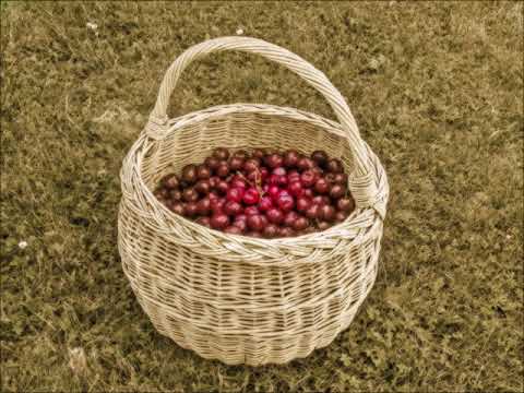 Görkem - Vişneli Şarkı ( Cover )