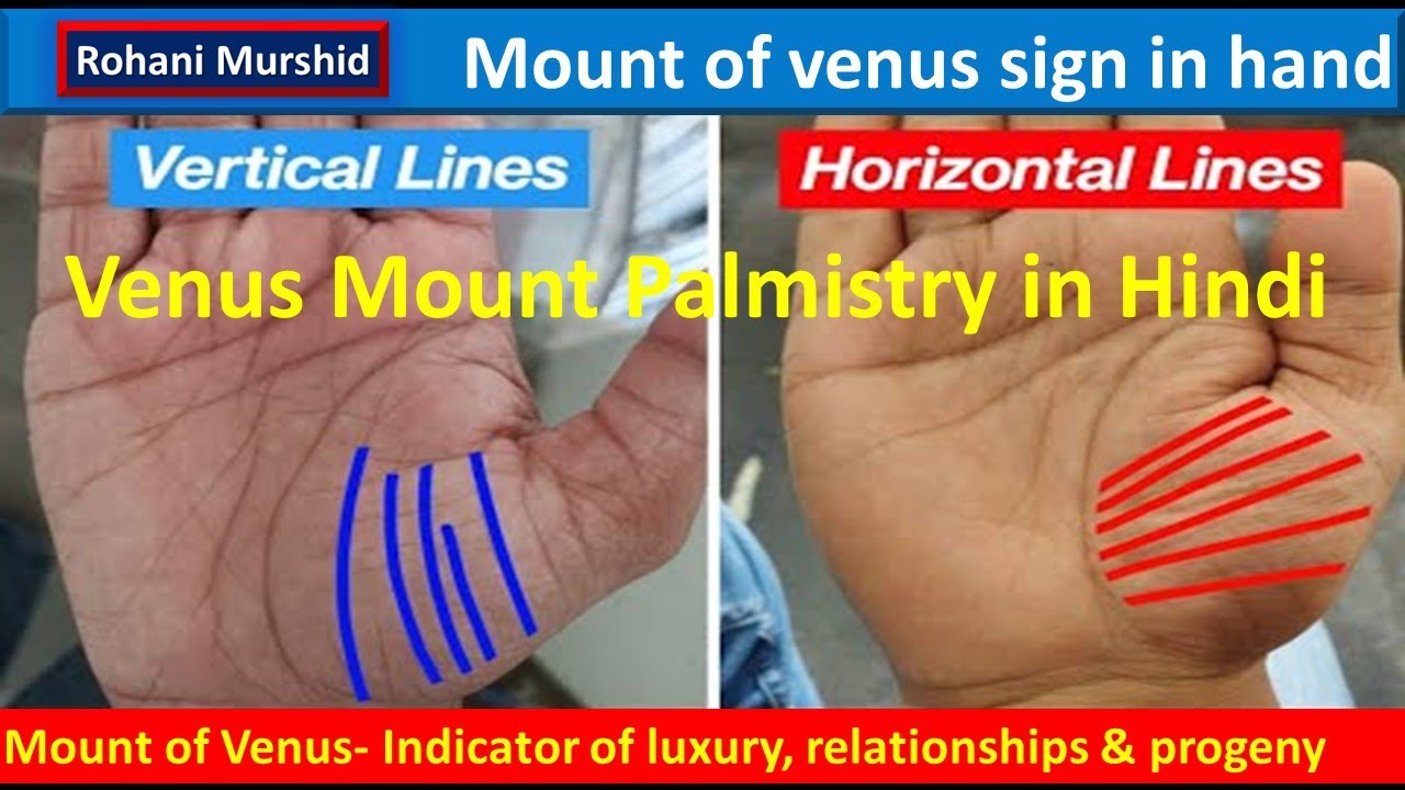 Mount of venus sign in hand | Venus Mount Palmistry in Hindi || Secret ...