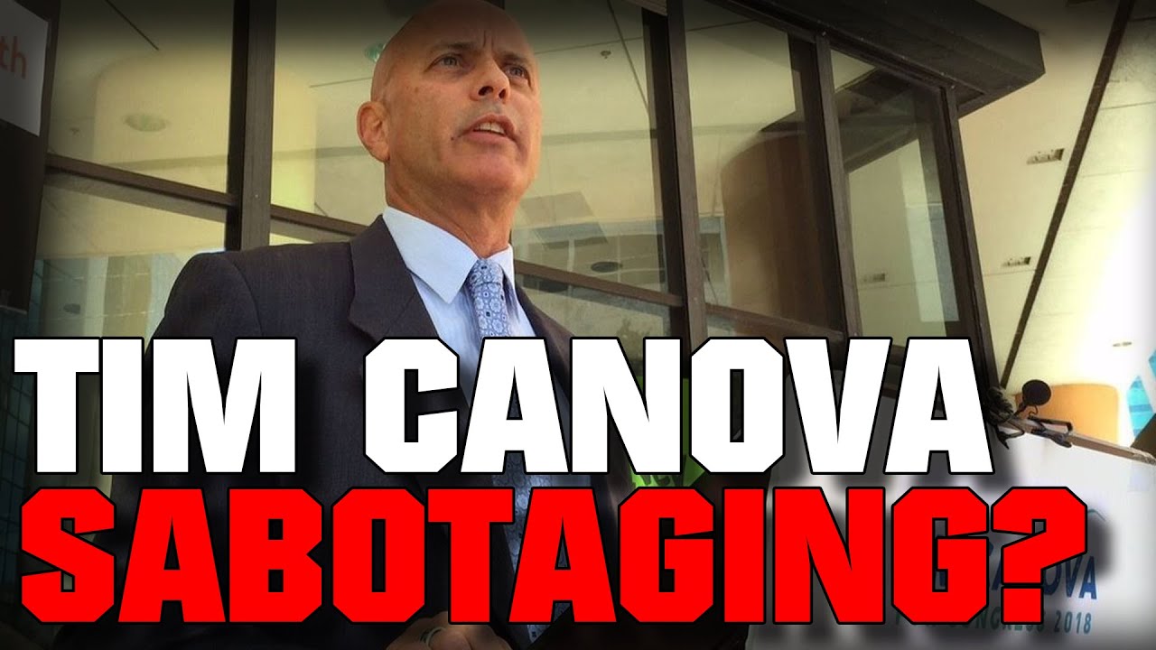 Tim Canova's Disinfo Campaign Against Jen Perelman REVEALED—Jordan ...