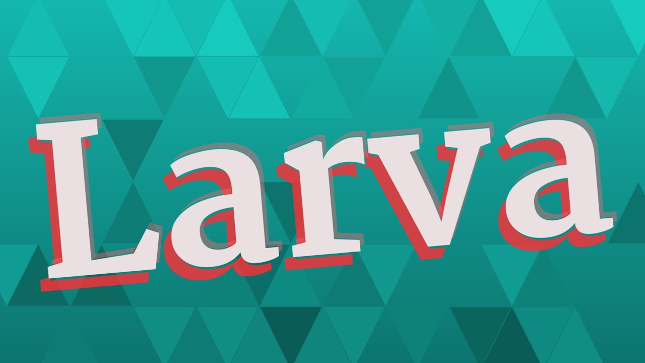 LARVA pronunciation • How to pronounce LARVA - YouTube