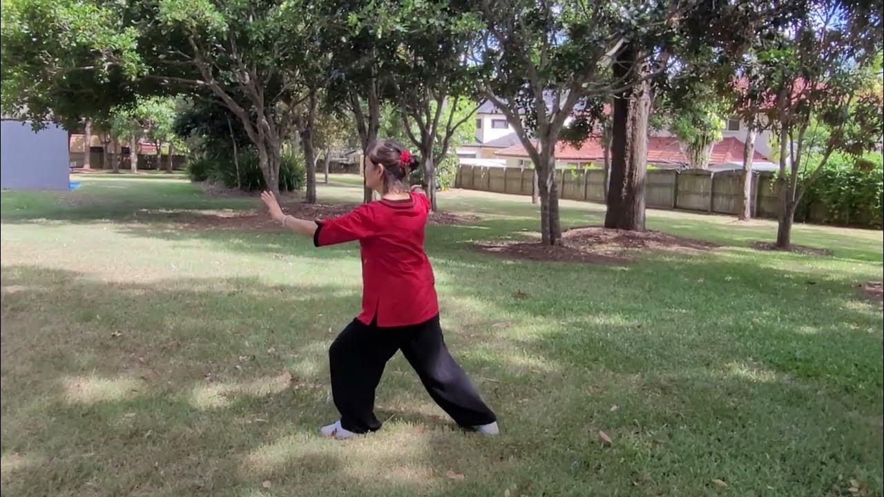 28 form Tai Chi Back View 28式太極拳背向示範 - YouTube