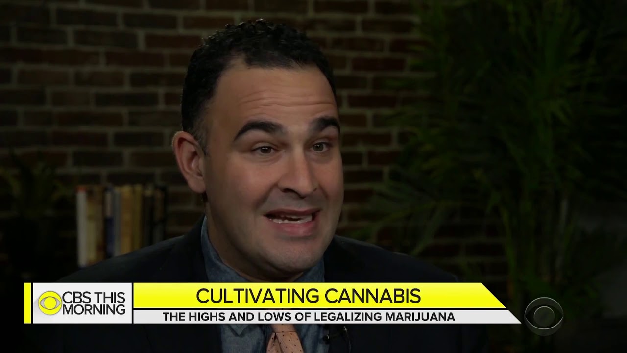 SAM President Kevin Sabet on Legalization in Massachusetts - YouTube