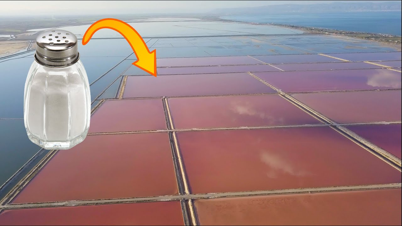 Cum se extrage SAREA din MARE - YouTube