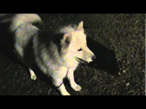 101010101010 - YouTube