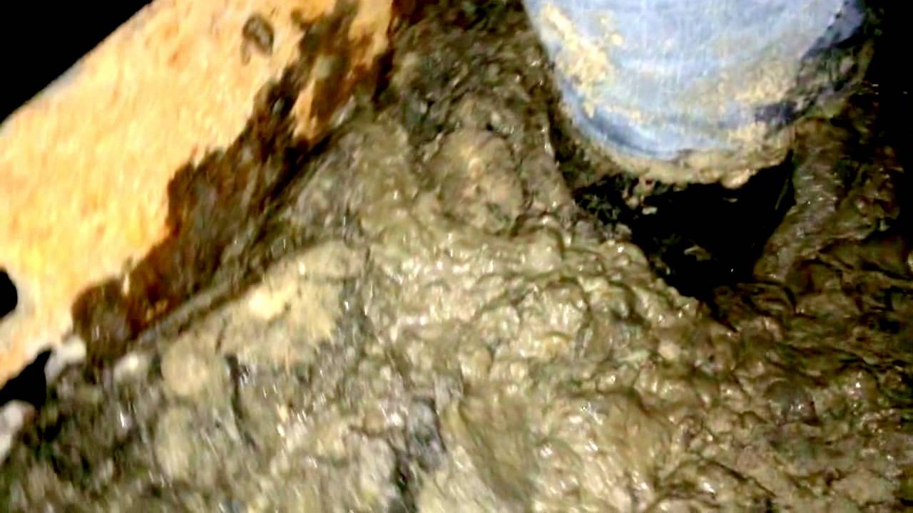 Petrie's in very soft mud 2 - YouTube