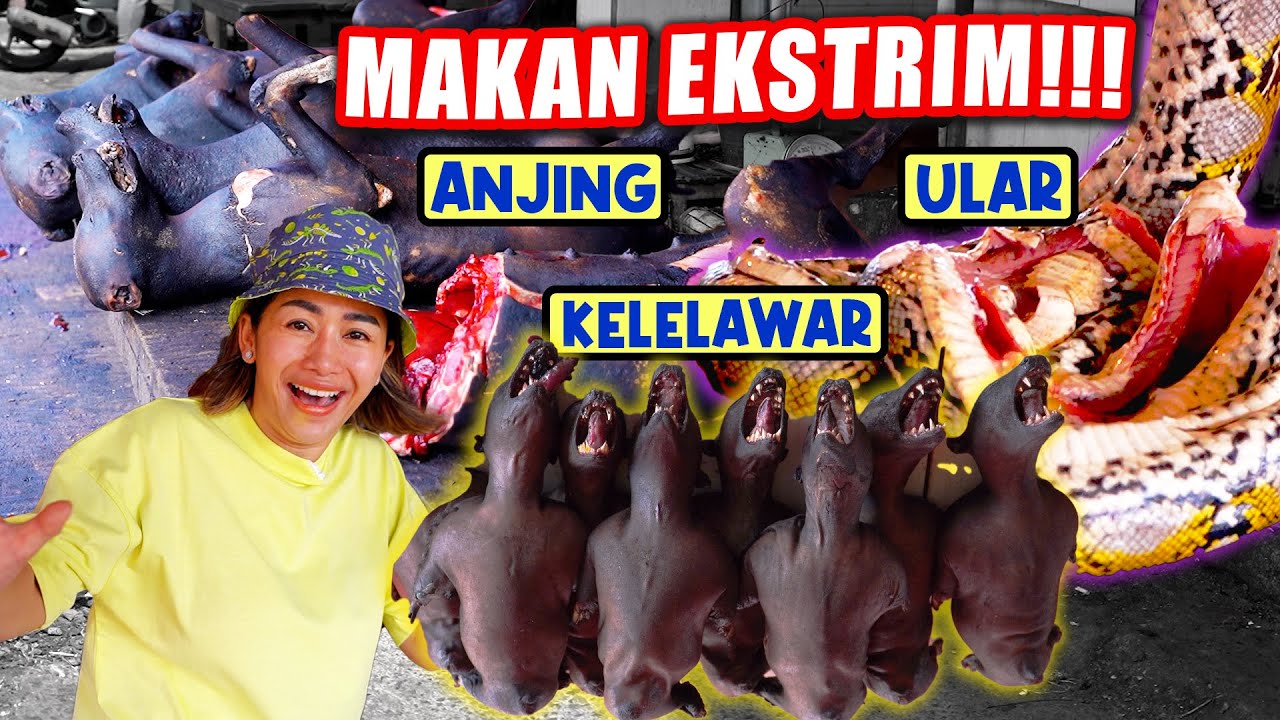 EXTRIMNYA MENDUNIA!! MAKAN ULAR, BABI HUTAN, TIKUS SUDAH LUMRAH DI SINI ...
