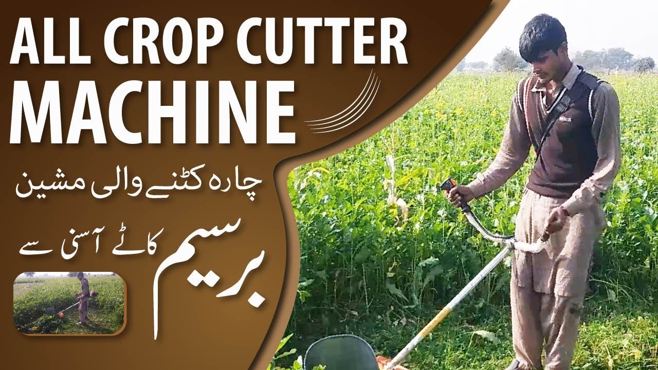 How to use Multi Crop Cutter Machine | all crop cutter | Wheat Crop ...