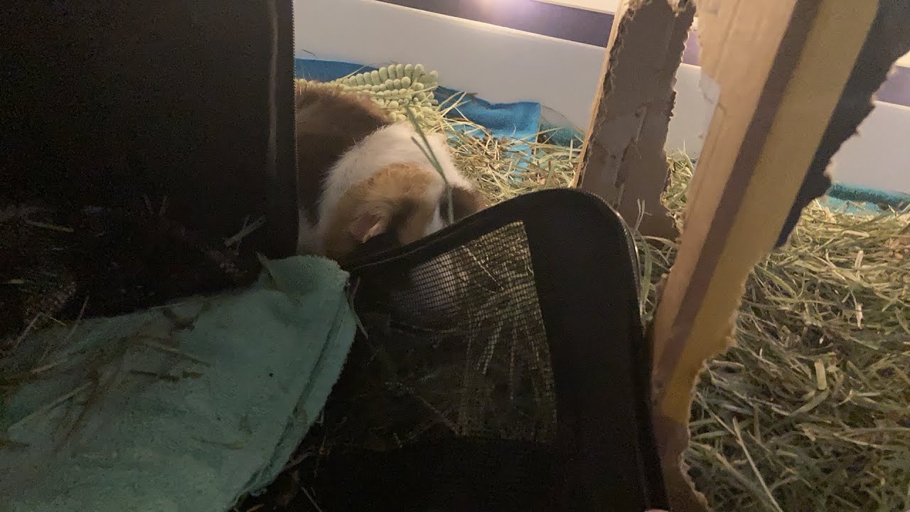 Terrifying difficulty spike! - YouTube