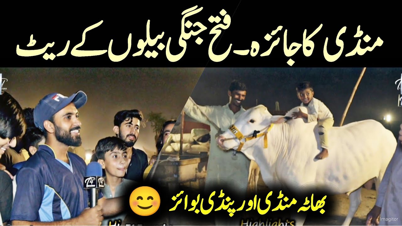 Bhaata chok Mandi visit 2023 - fateh jangi bulls ky rates - Pindi boys ...