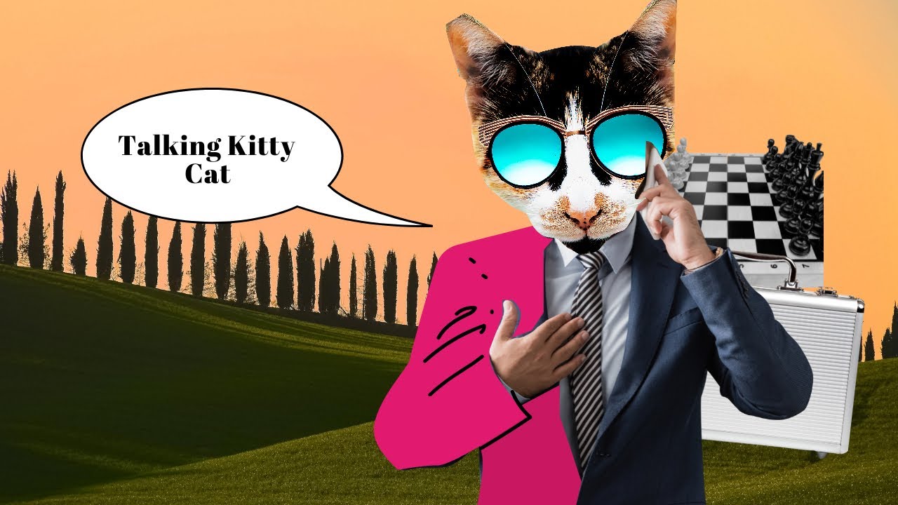 Talking Kitty Cat🐈😂 All Edition Playlist🔥🔥🔥 - YouTube