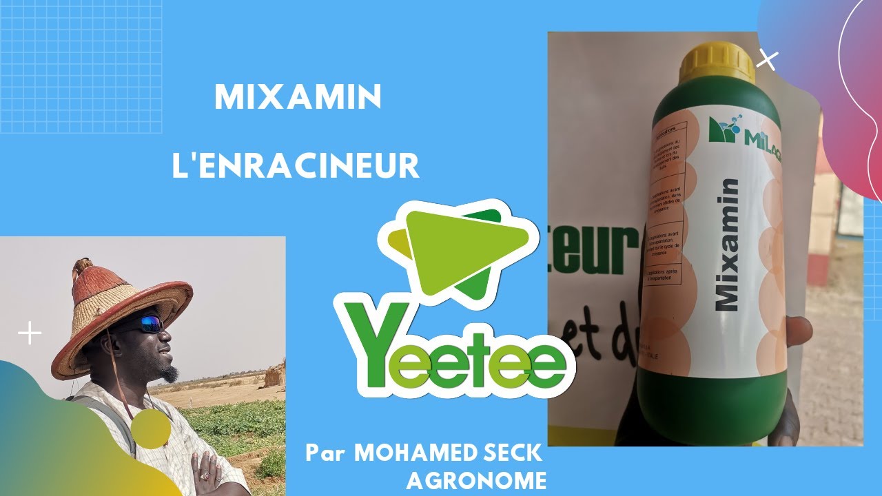 Yeetee l'enracineur Mixamin - YouTube