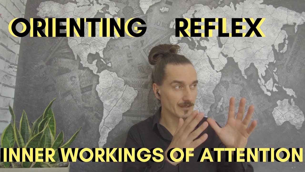 Orienting Reflex and Attention: How Does the Orienting Response Work ...