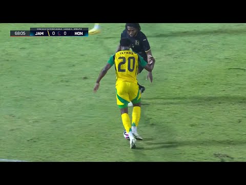 Renaldo Cephas vs USA - Highlights (HD)