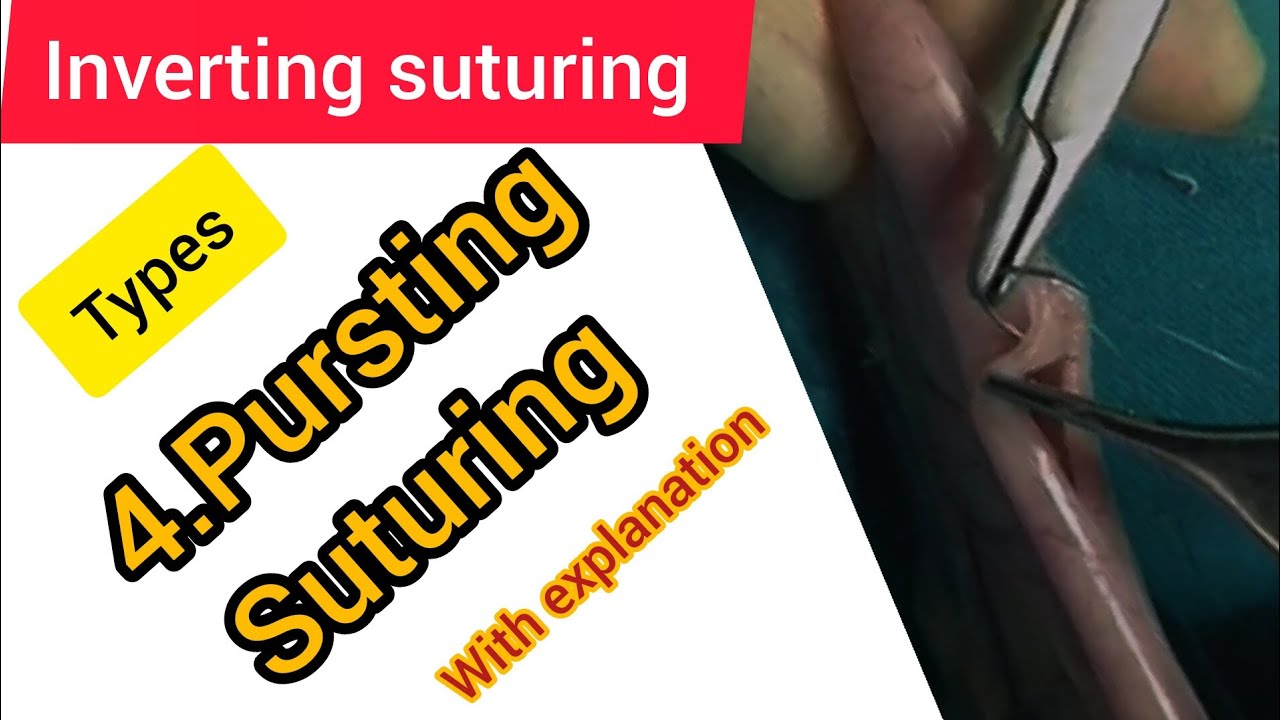 lecture 4(d) inverting suturing,Pursting suturing pattern #vet #dvm# ...