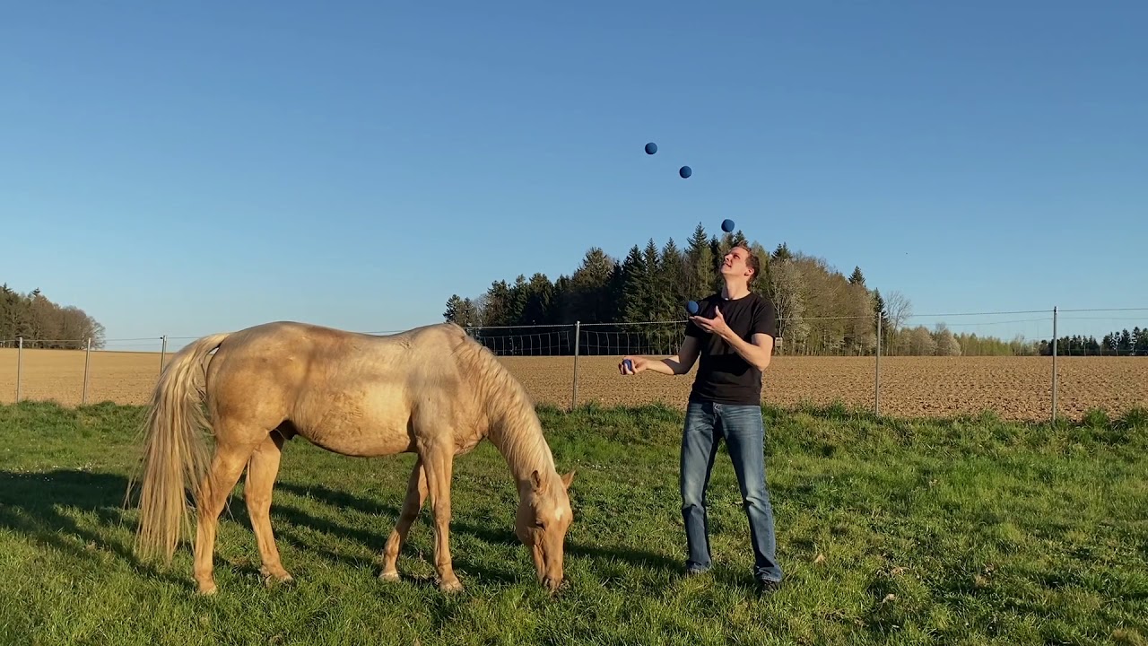 Quarantine, juggling balls and horses... - YouTube