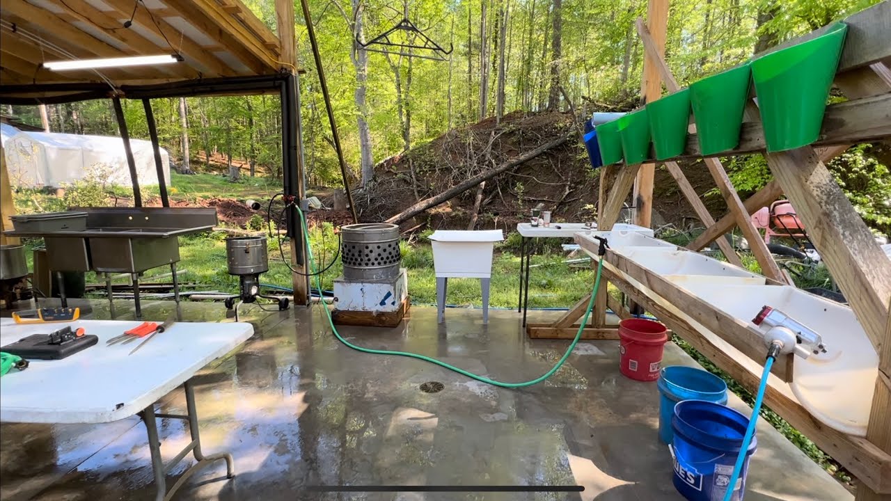 New Chicken Processing Set Up - YouTube