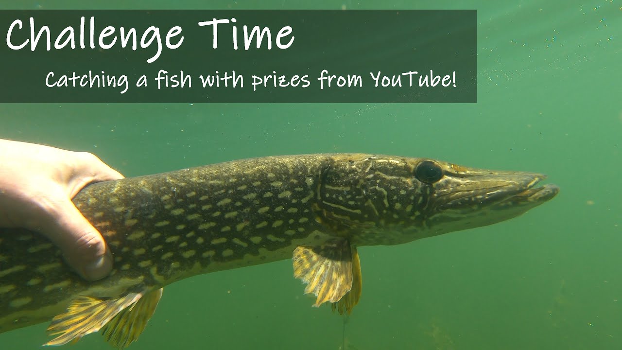 Ep 68: The prize package challenge, catching a fish with gear I won on ...