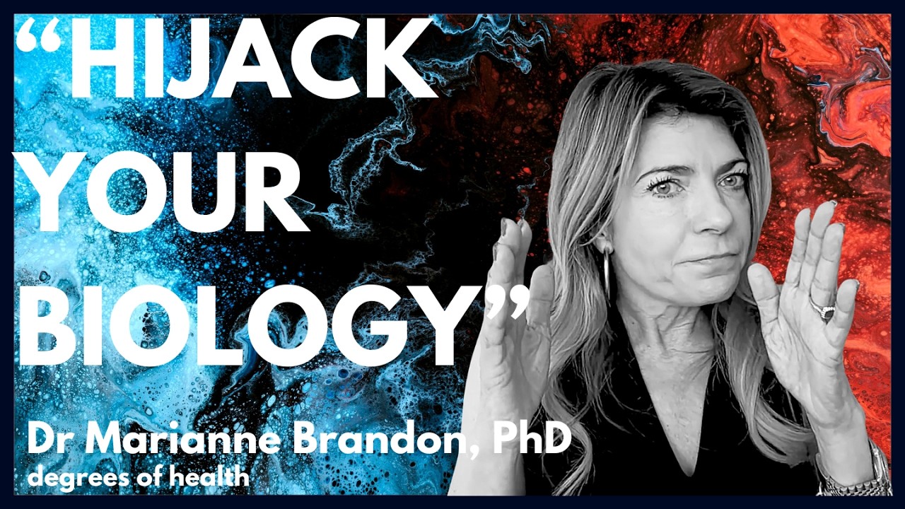 Dr Marianne Brandon, PhD | Why We’re Having Less Sex - The Latest Scoop ...