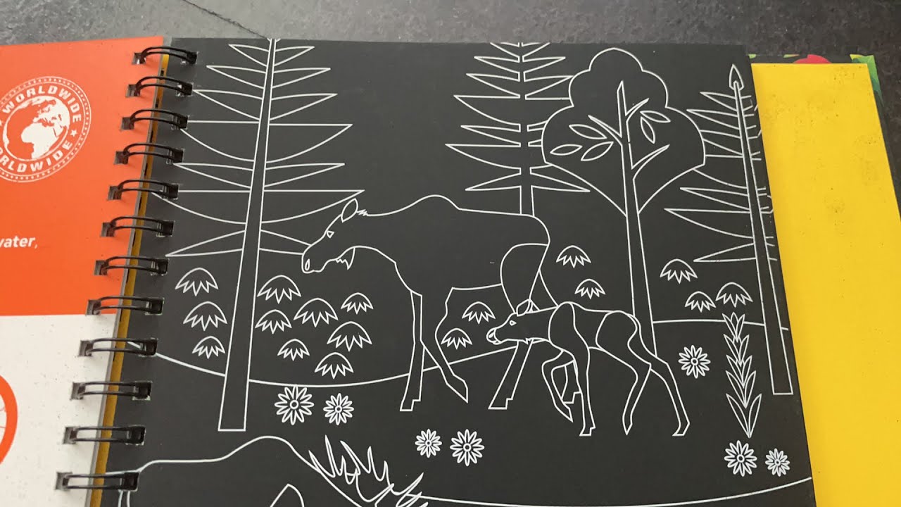 Moose/scratch discover and learn - YouTube