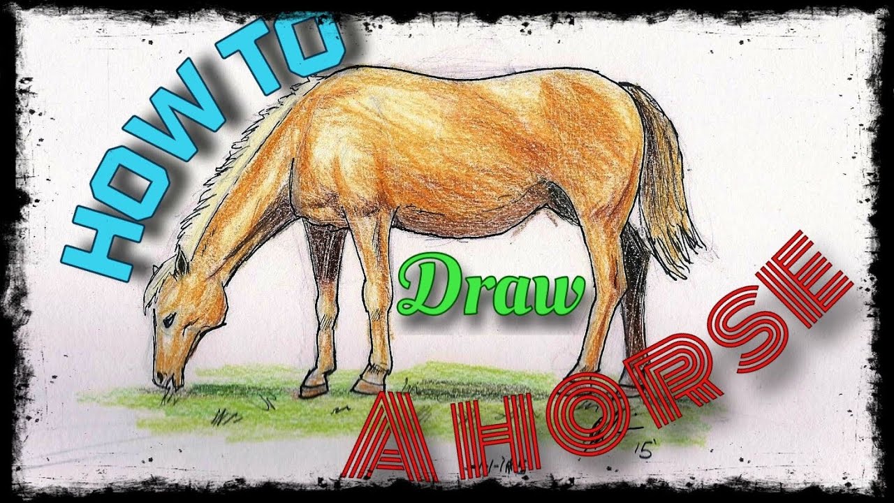 How to Draw a Horse (Time-Lapse Drawing) - YouTube