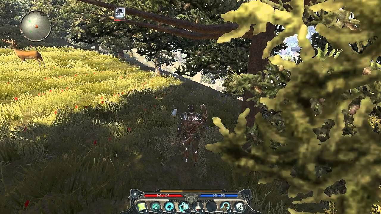 Divinity 2 walkthrough (Nightmare) 14 - Broken Valley: Sosostra and a ...