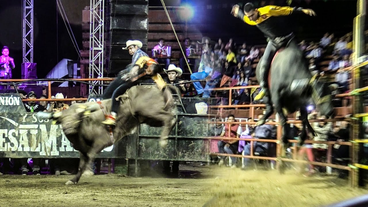 ¡SE MIDIERON OAXACA VS MORELOS! ES LA TORADA QUE SIGUE PISANDO DURO ...