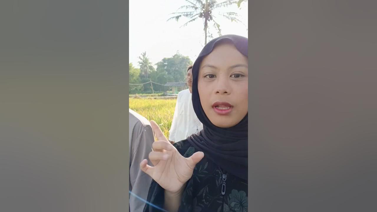 Tugas 2 Wacana Bahasa Arab - YouTube