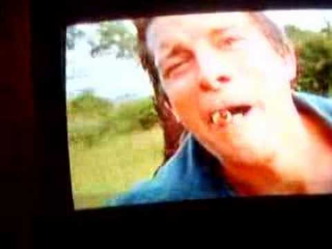 MAN VS WILD EATING GIANT LARVA. GUTS TOO.... - YouTube