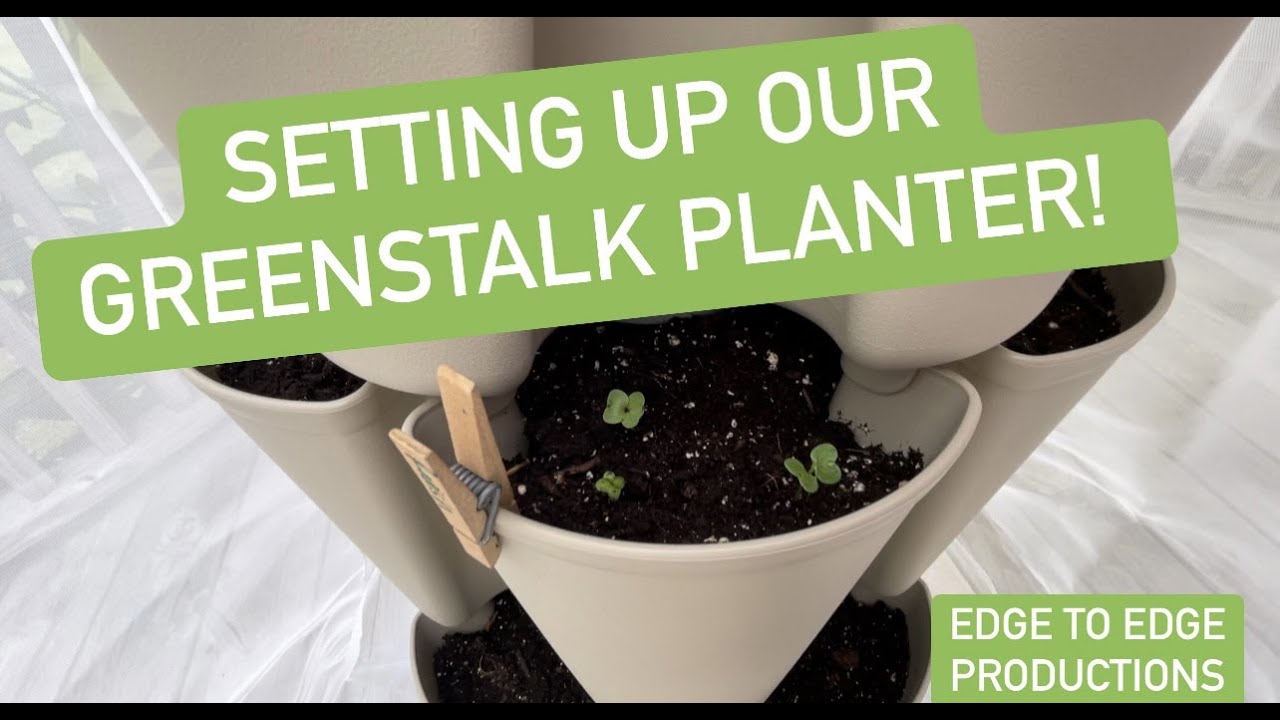 SETTING UP OUR GREENSTALK VERTICAL PLANTER! - YouTube