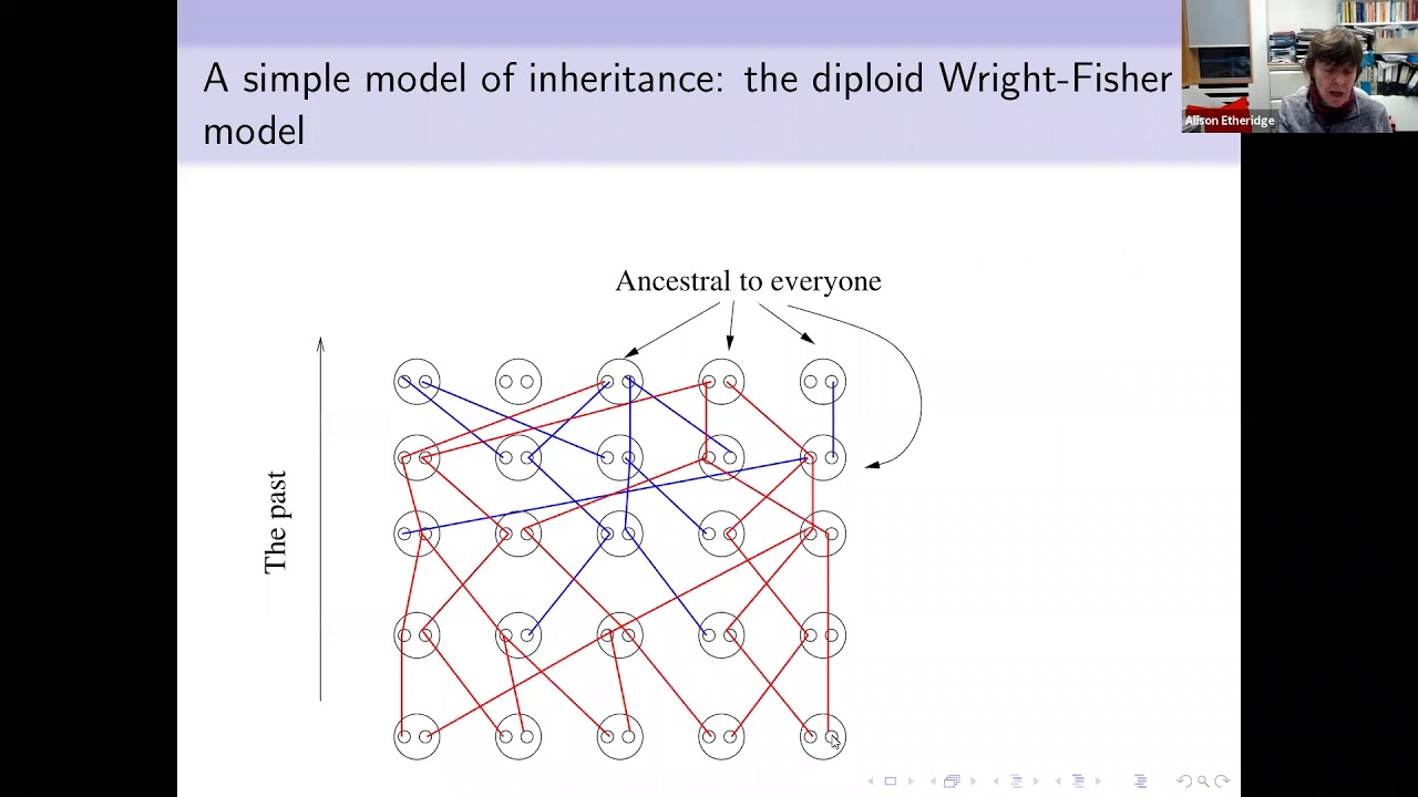 Some Mathematical Models of Evolution: The infinitesimal Model. Alison ...