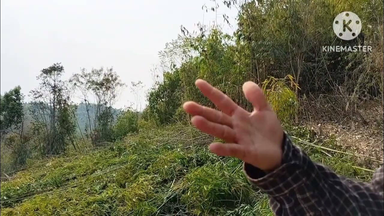 hnub no peb mus luaj teb sab heev li 19/3/23 - YouTube